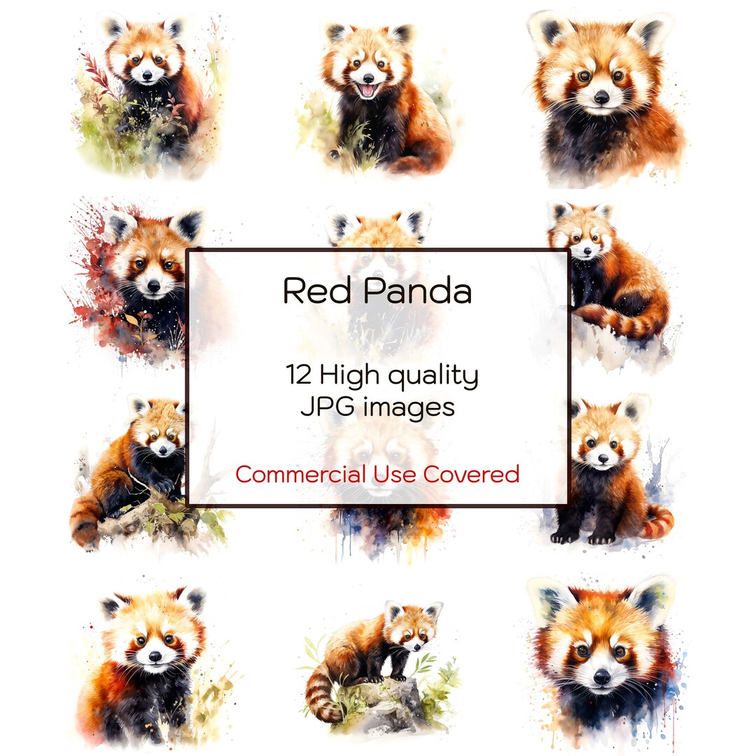 Red Panda Watercolor Clipart, 12 High Quality Jpgs, Wall Art, Print ...