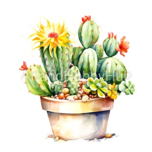Cactus in a Pot Watercolor Clipart, 12 High Quality Jpgs, Journal ...