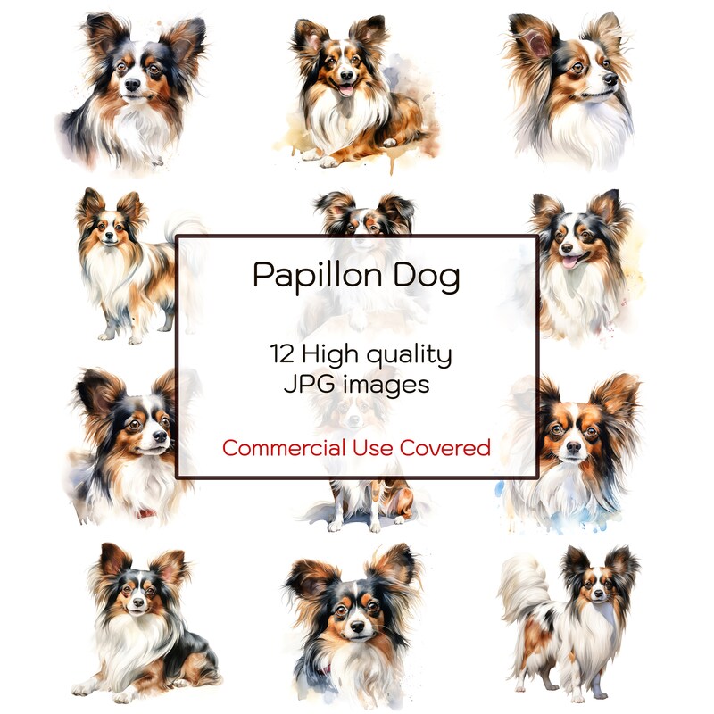 Papillon Art - Etsy