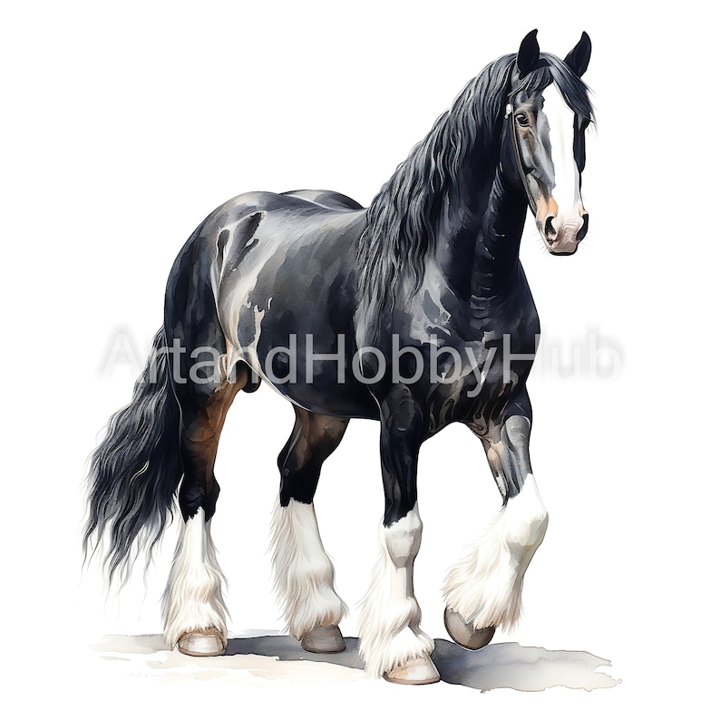 Clydesdale Horse Watercolor Clipart, 12 High Quality Jpgs, Wall Art ...