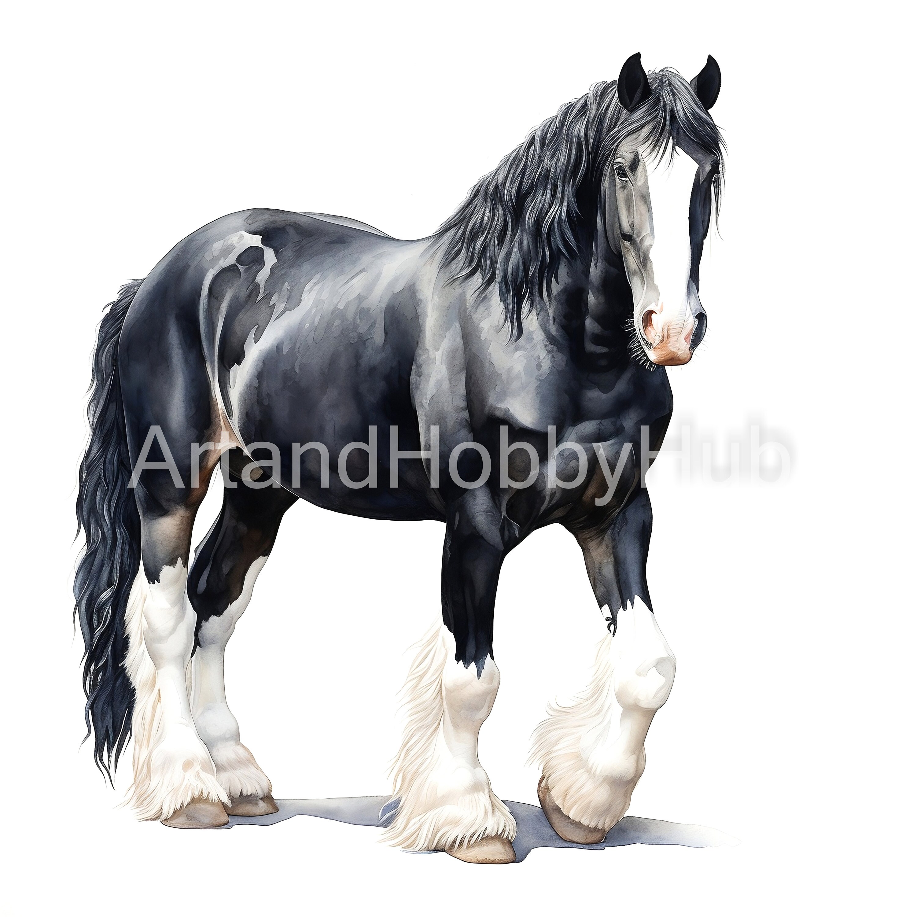 Clydesdale Horse Watercolor Clipart, 12 High Quality Jpgs, Wall Art ...