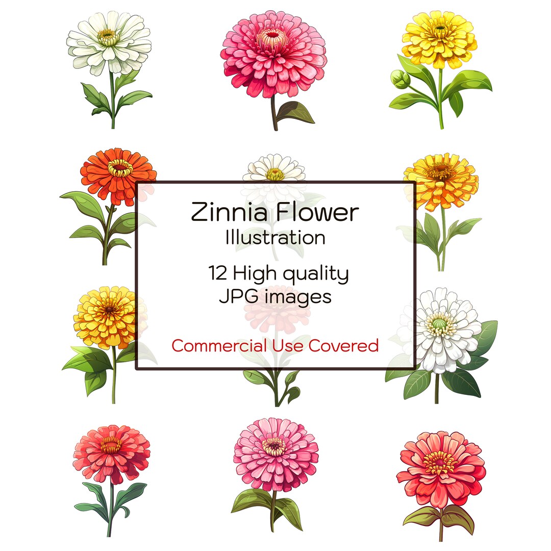 Zinnia Flower Illustration Clipart, 12 High Quality Jpgs, Wall Art ...