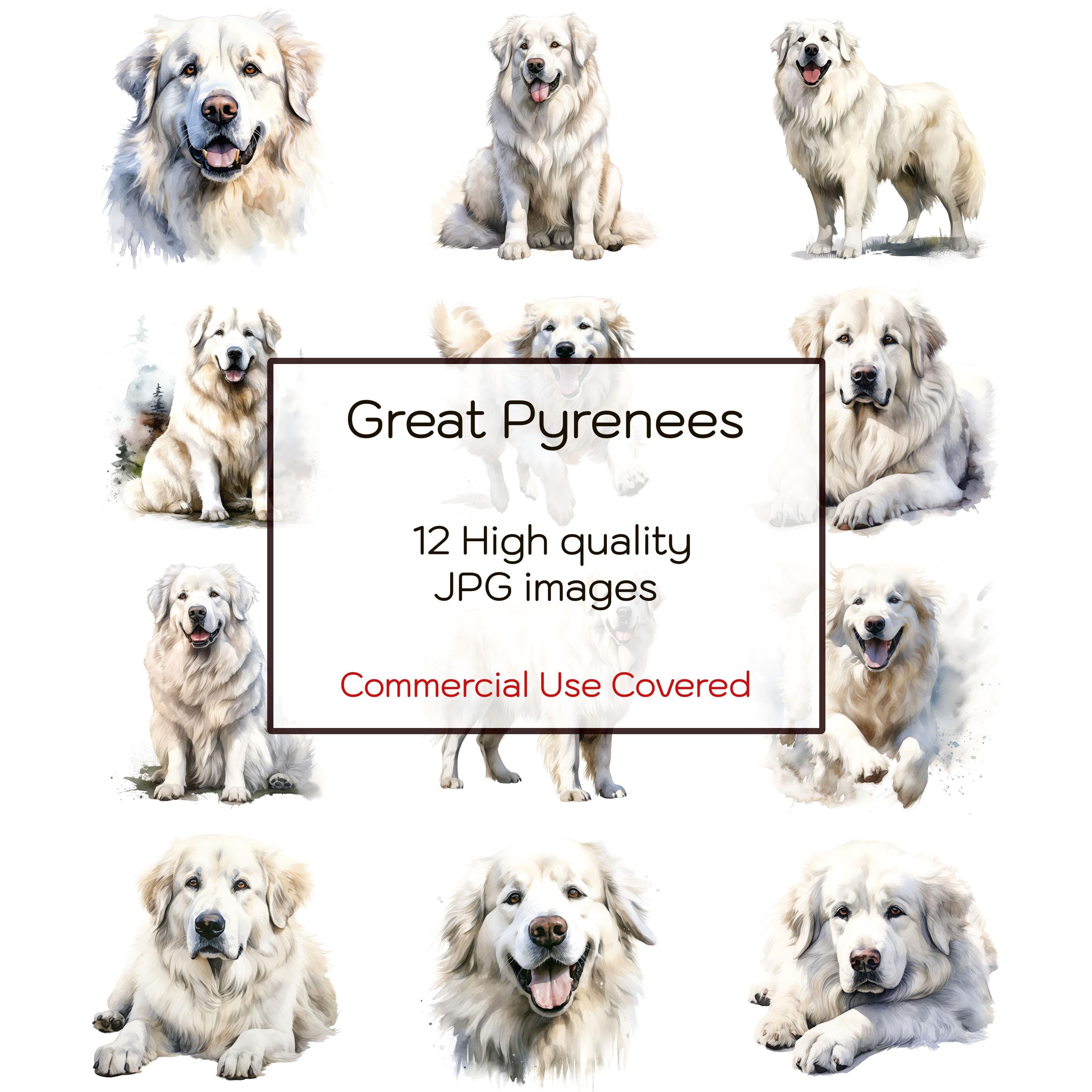 Great Pyrenees Assorted Watercolor Clipart, 12 High Quality Jpgs, Wall ...