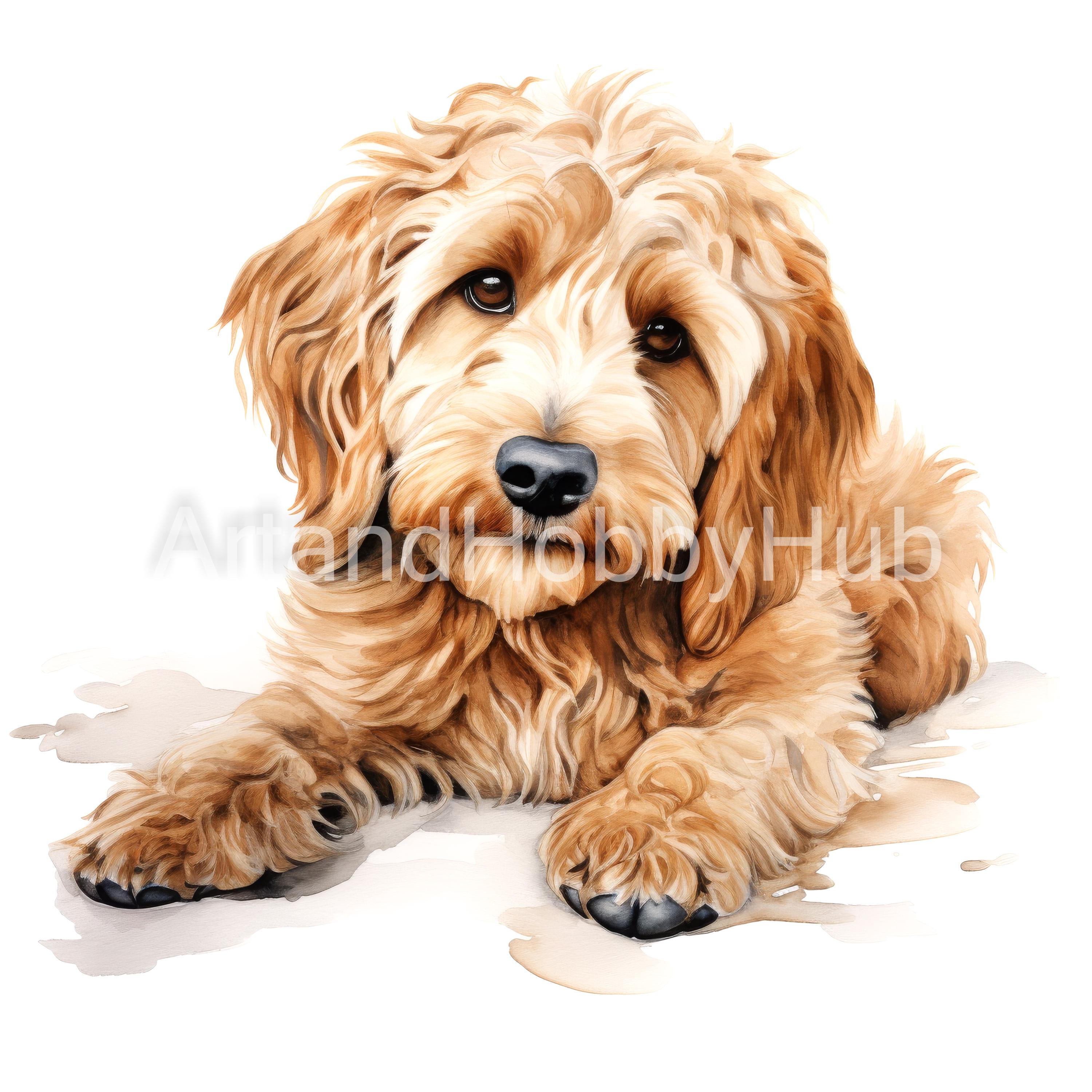 Goldendoodle Dog Assorted Watercolor Clipart, 12 High Quality Jpgs ...