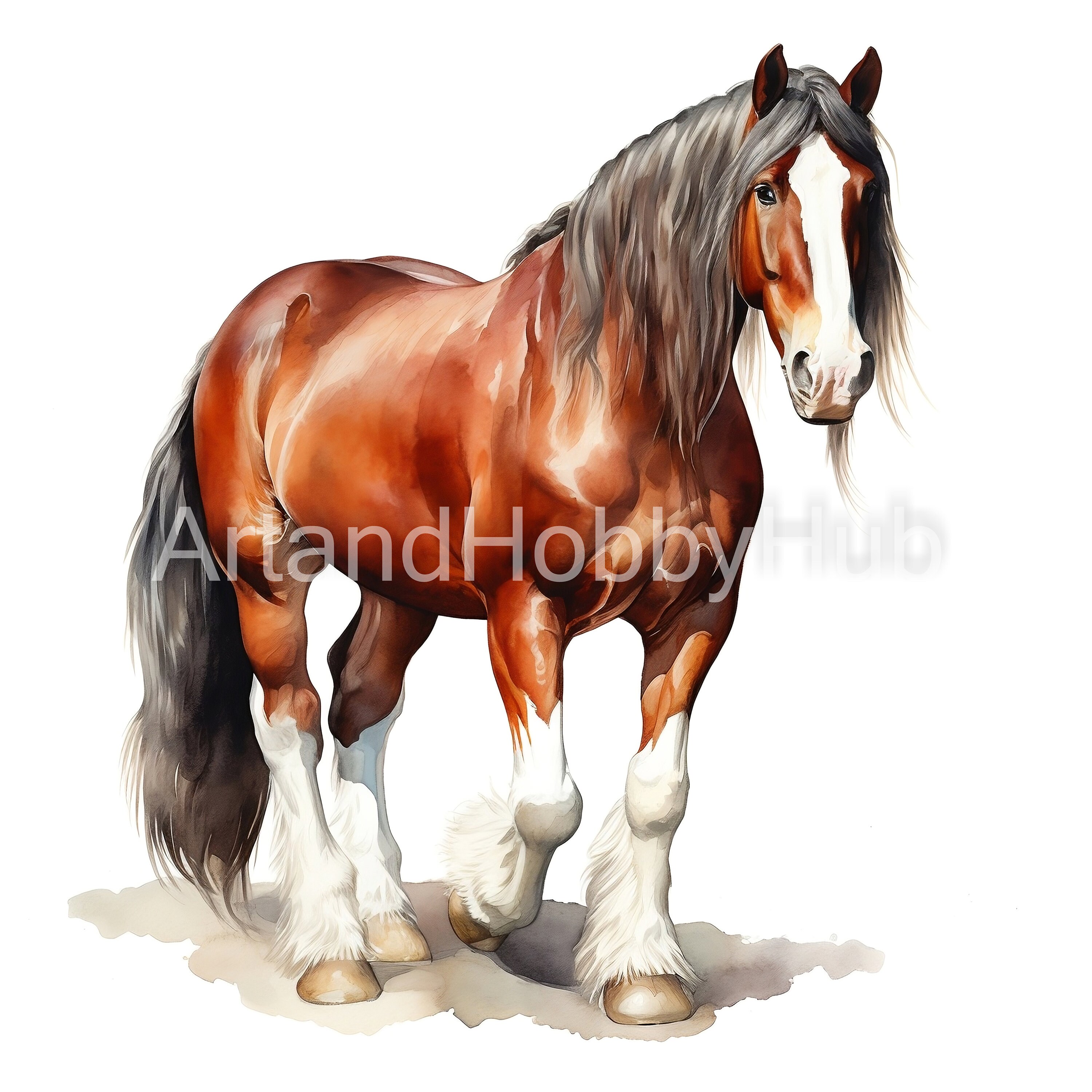 Clydesdale Horse Watercolor Clipart, 12 High Quality Jpgs, Wall Art ...