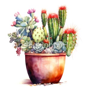Cactus in a Pot Watercolor Clipart, 12 High Quality Jpgs, Journal ...