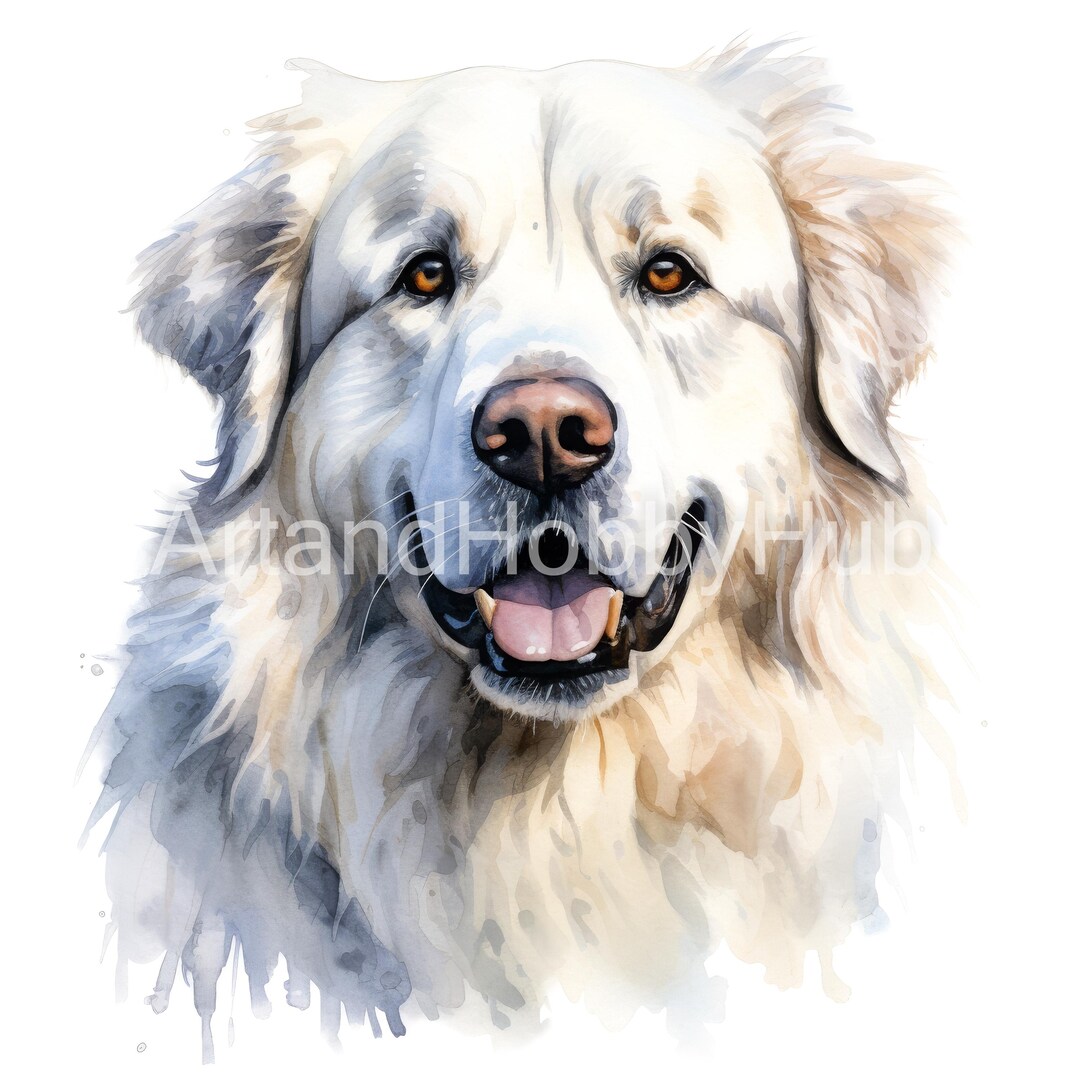 Great Pyrenees Assorted Watercolor Clipart, 12 High Quality Jpgs, Wall ...