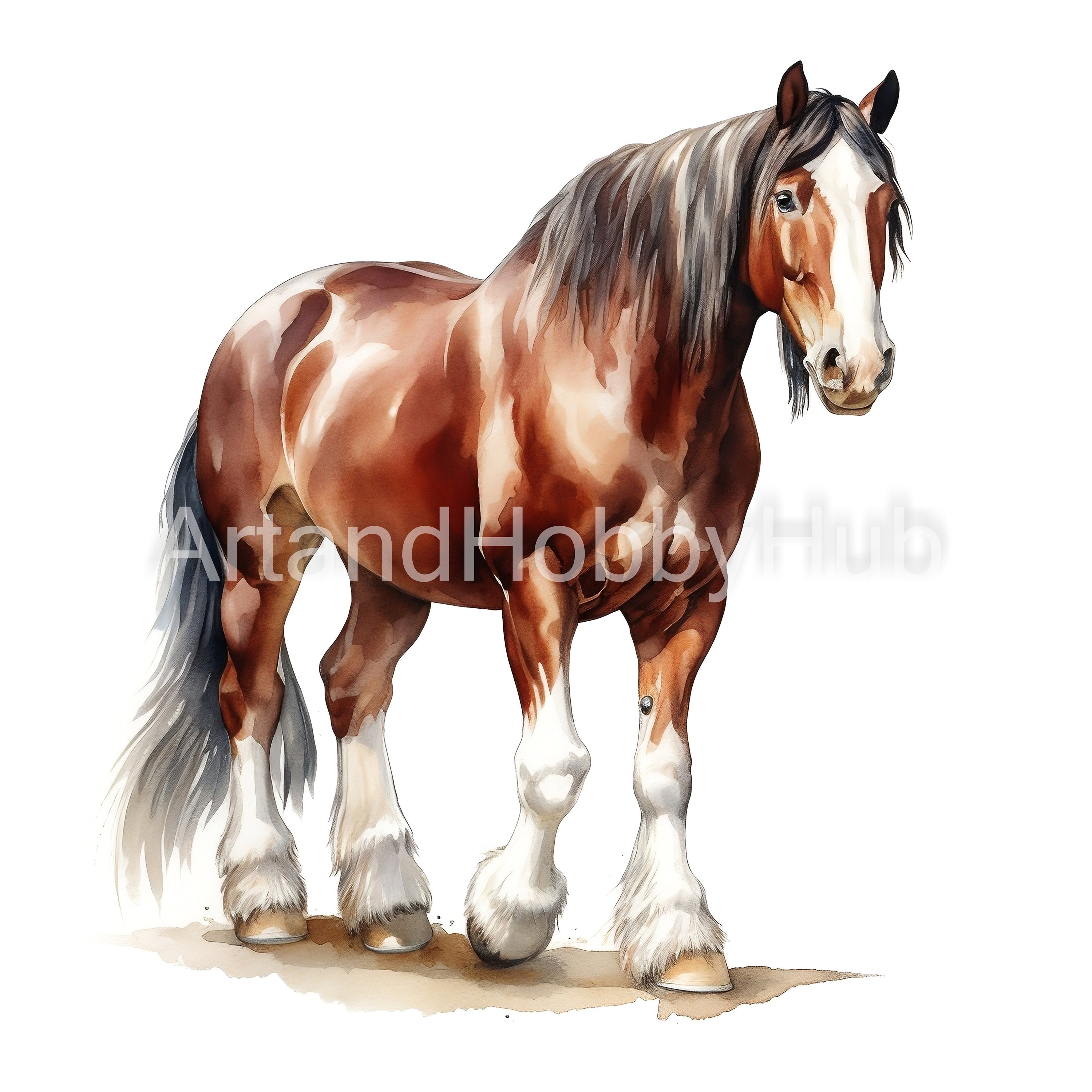 Clydesdale Horse Watercolor Clipart, 12 High Quality Jpgs, Wall Art ...