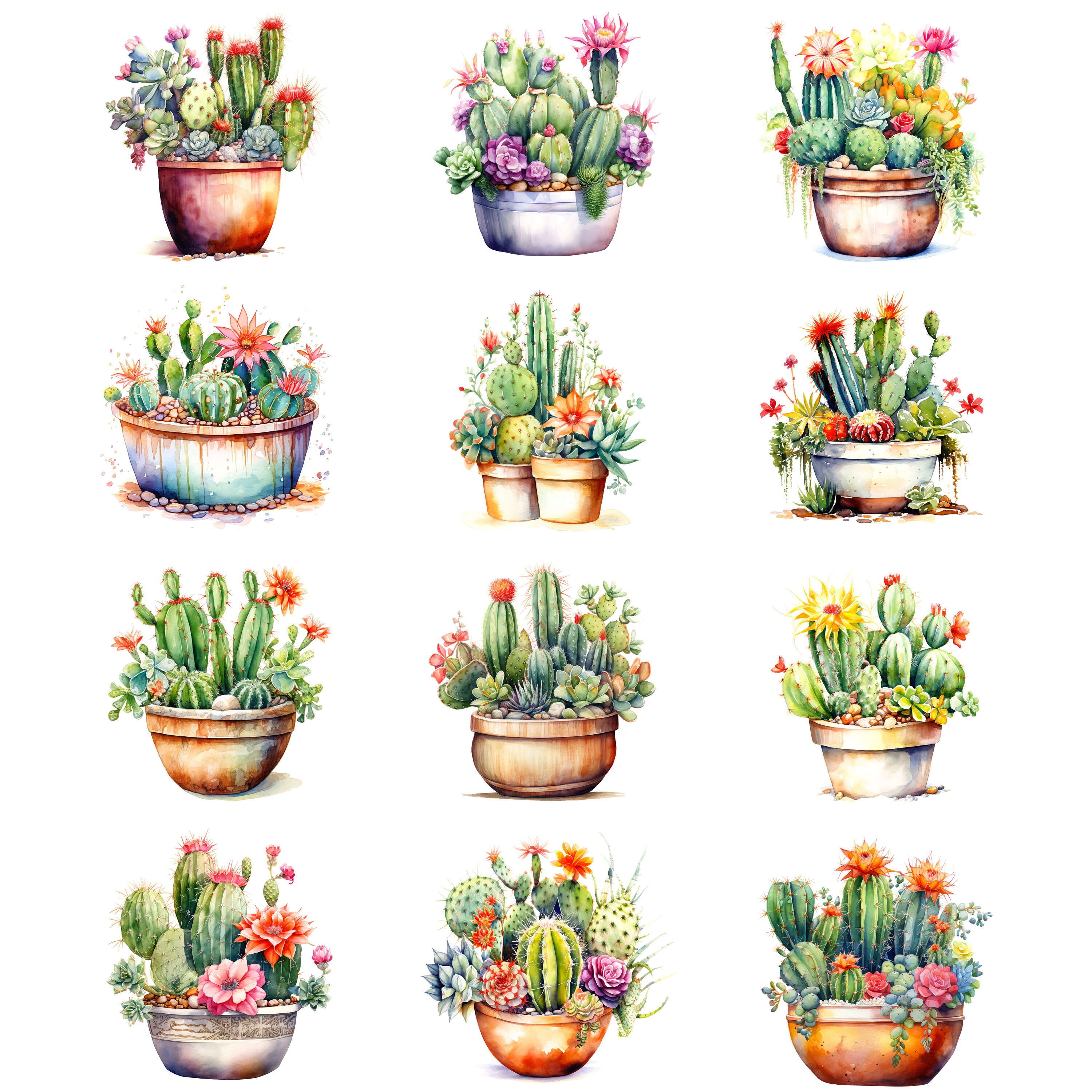Cactus in a Pot Watercolor Clipart, 12 High Quality Jpgs, Journal ...