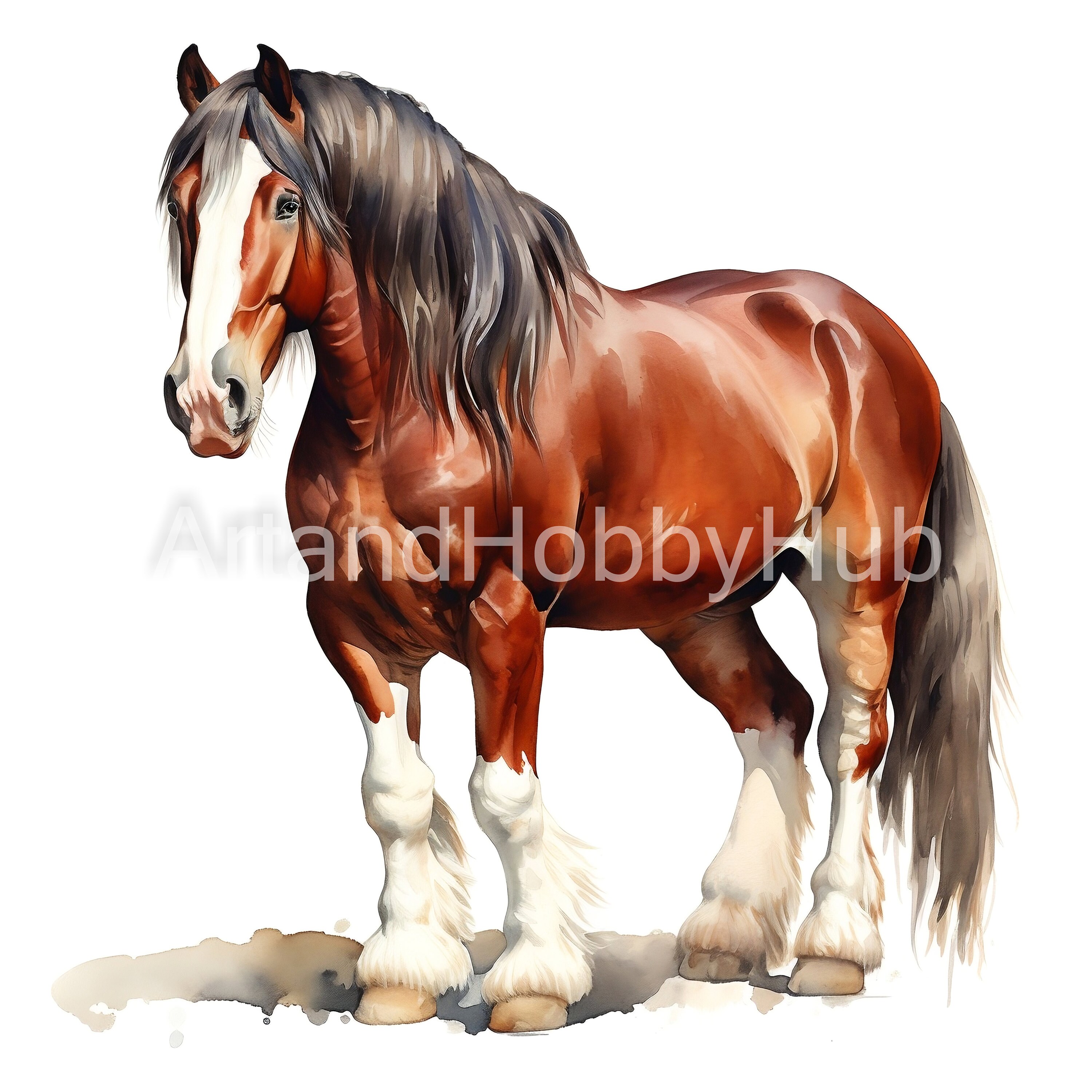 Clydesdale Horse Watercolor Clipart, 12 High Quality Jpgs, Wall Art ...