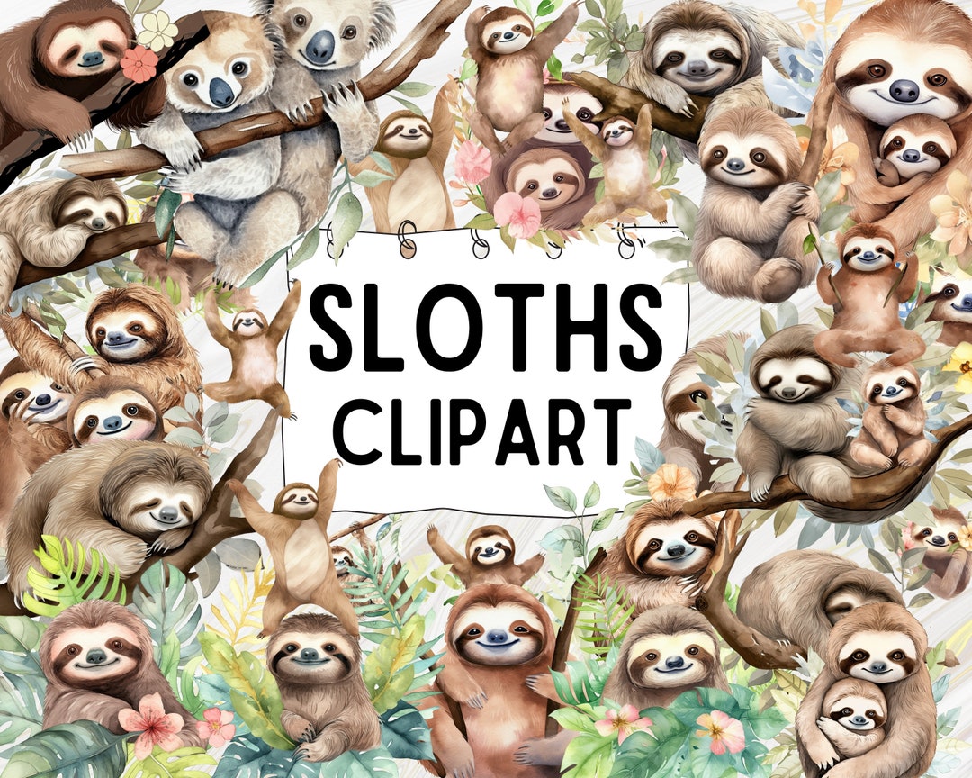 Sloths Watercolor Clipart Bundle sloth Clipart Adorable - Etsy
