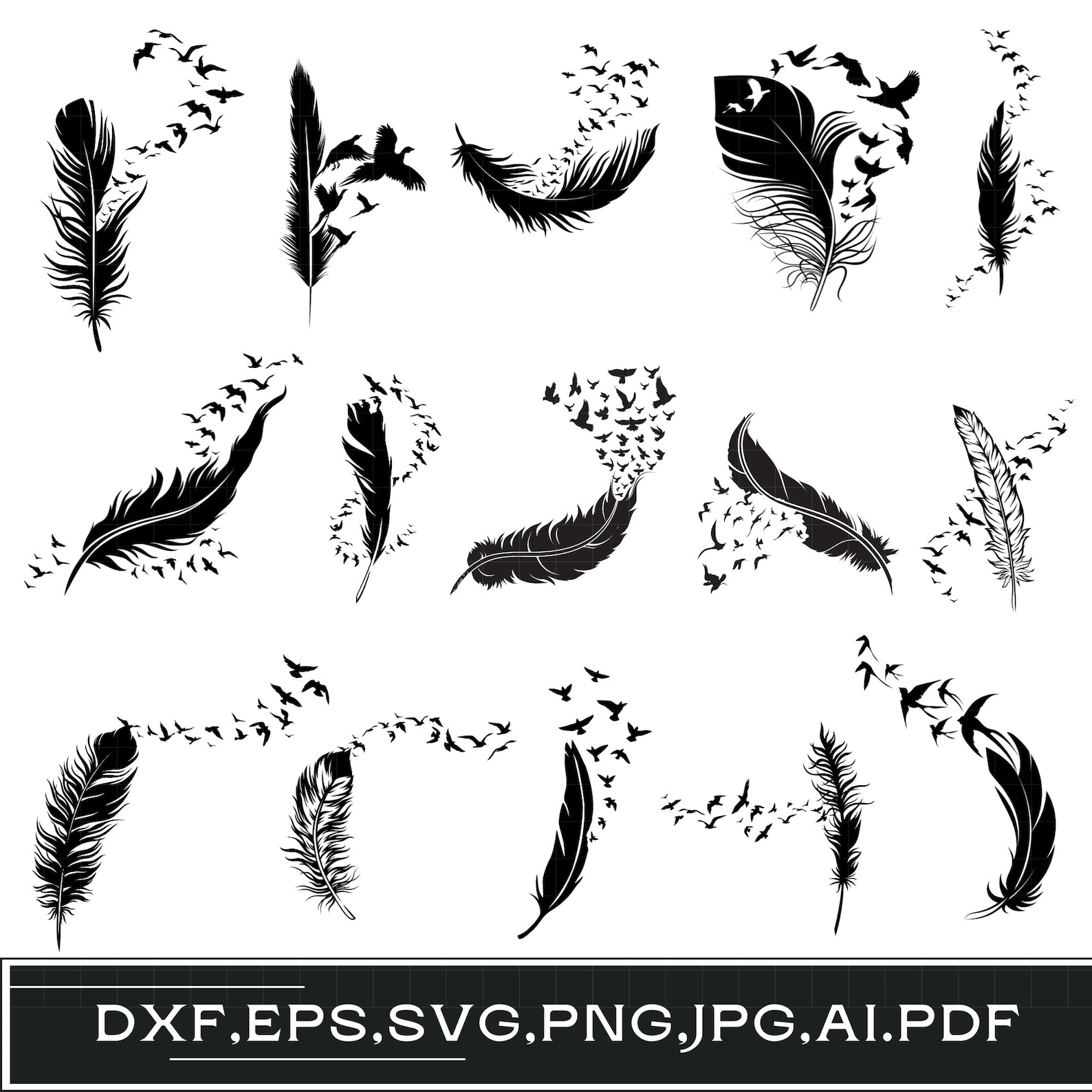 Feather Birds Svg Feather Svg Bundle Flying Birds Feather Svg Feather Leaf Silhouette