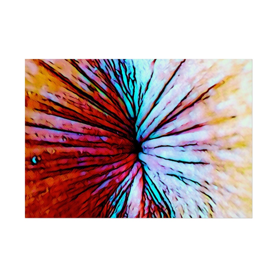 Anus Poster rainbowuranus Anus Rolled Poster/wallpaper - Etsy