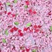 Cherry Confetti Party Decorations Cherry on Top First Birthday Confetti ...