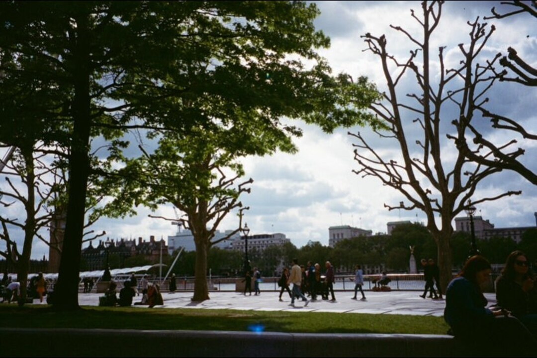 London River Thames Print - Etsy