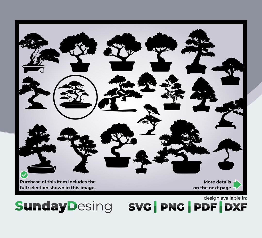BONSAI SILHOUETTE SVG Png Dxf Pdf Ai bonsair Vector Bonsai Designs ...