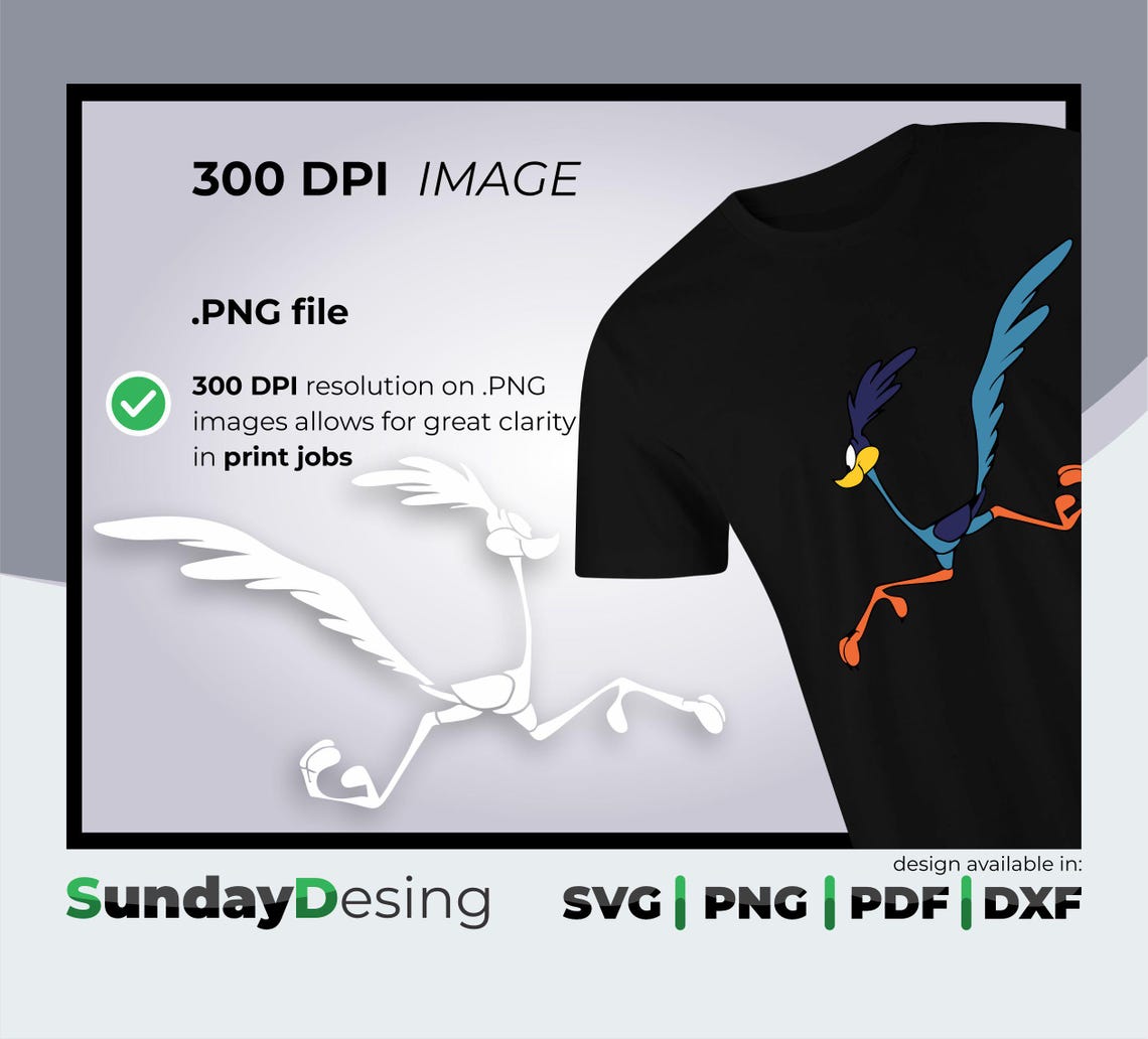 Roadrunner Cartoon, Roadrunner for Printing, Roadrunner in Bundle ...