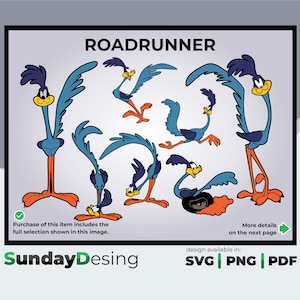 Roadrunner - Etsy