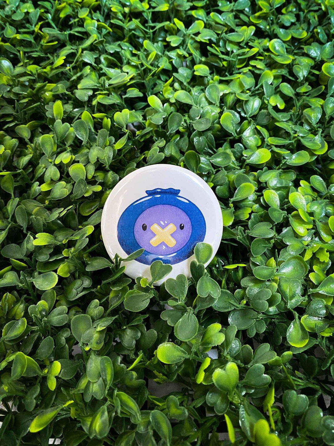 Balloon Blueberry Button - Etsy