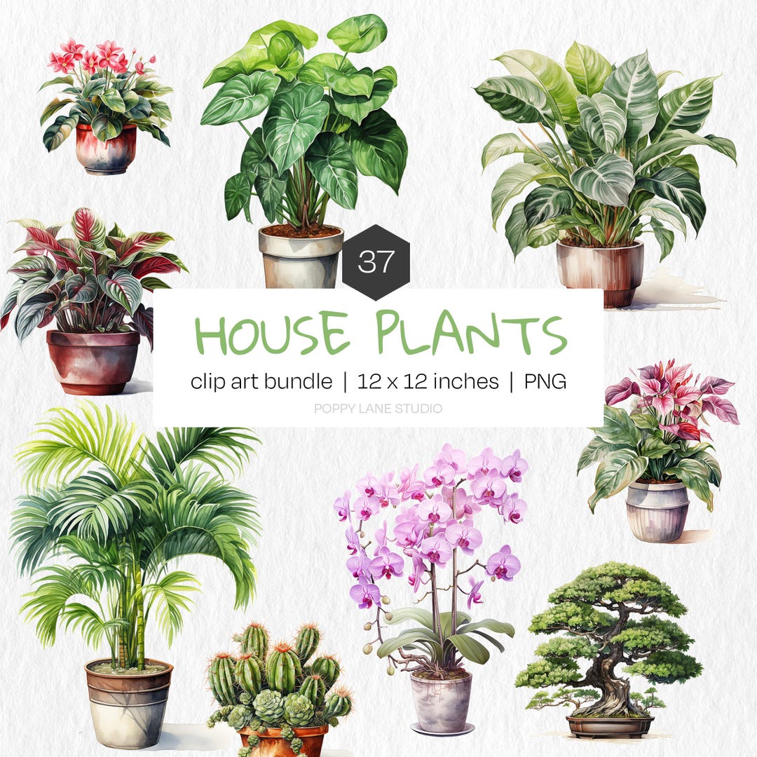 Potted Plants Clip Art, PNG Plant Images, Cute Floral Clipart ...