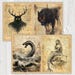 Cryptid Sketches, Mythical Creature Junk Journal, Monster Digital Paper ...
