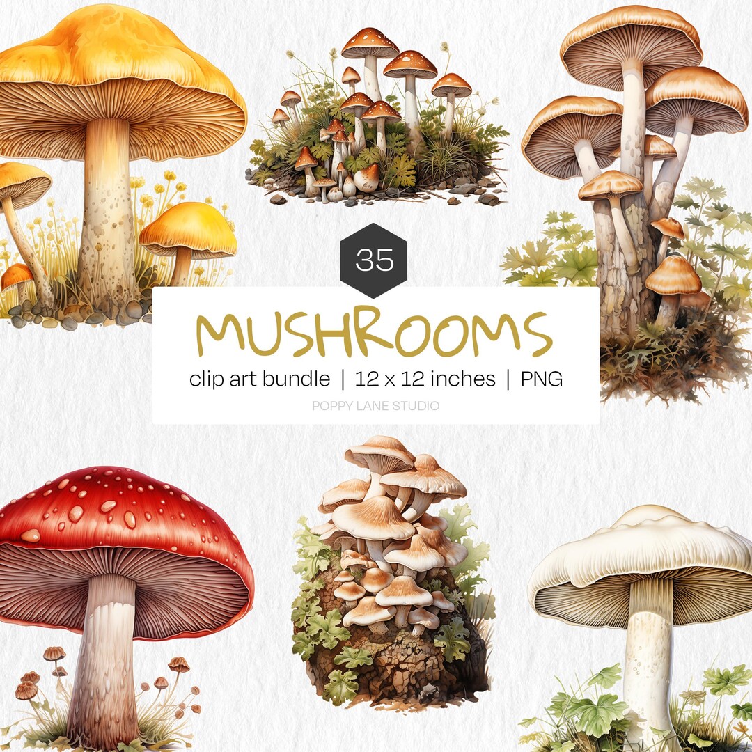 Forest Mushroom Clip Art, PNG File, Mushroom Clipart, Watercolour ...