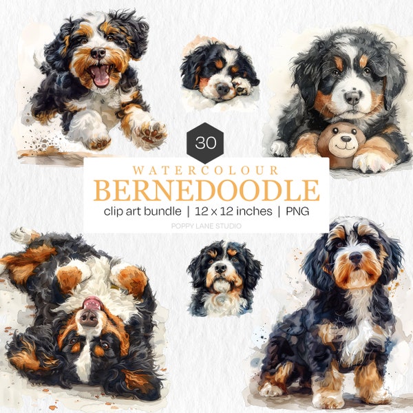 Bernedoodle - Etsy