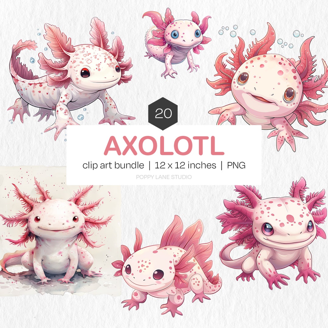 Axolotl Clip Art, Cute Axolotl PNG Images, Axolotl Clipart, Watercolour ...