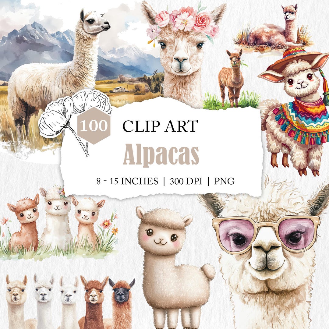 Alpaca Clip Art, Alpaca Graphic Elements, 100 Pngs, South American ...