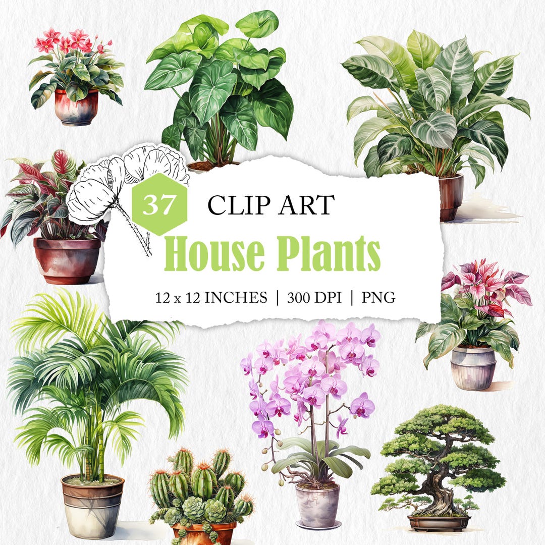 Potted Plants Clip Art, PNG Plant Images, Cute Floral Clipart ...