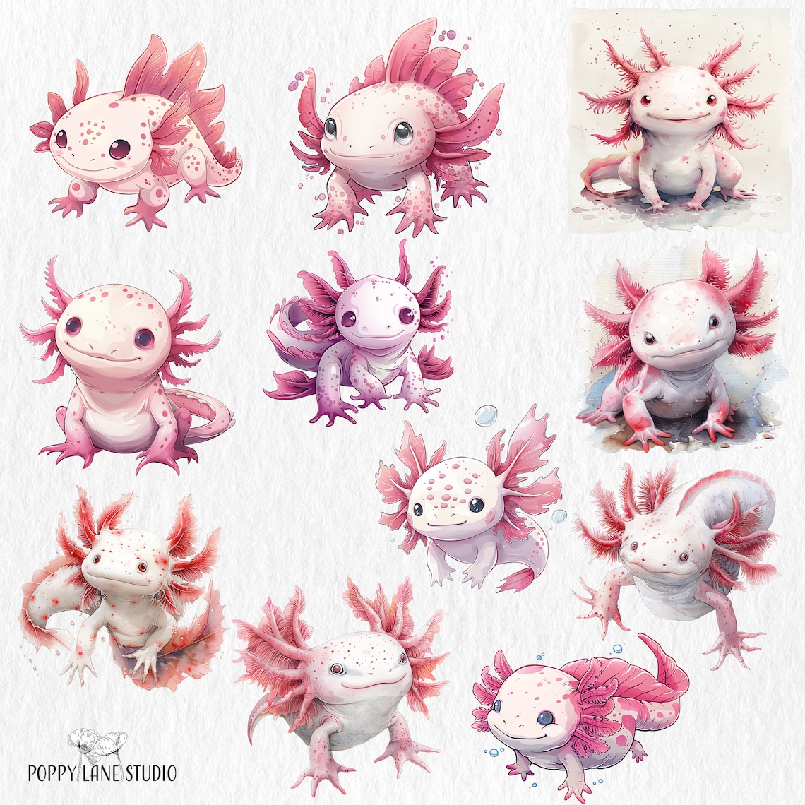 Axolotl Clip Art, Cute Axolotl PNG Images, Axolotl Clipart, Watercolour ...
