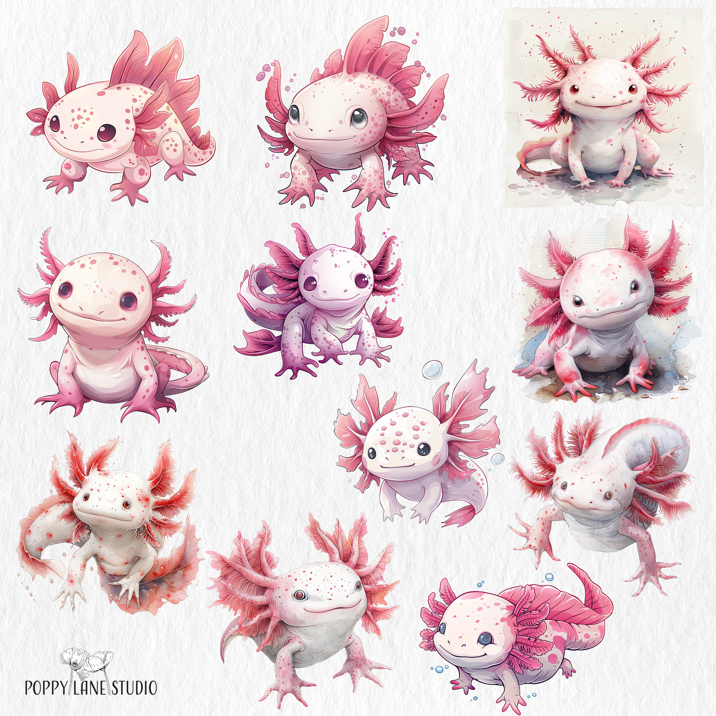 Axolotl Clip Art, Cute Axolotl PNG Images, Axolotl Clipart, Watercolour ...