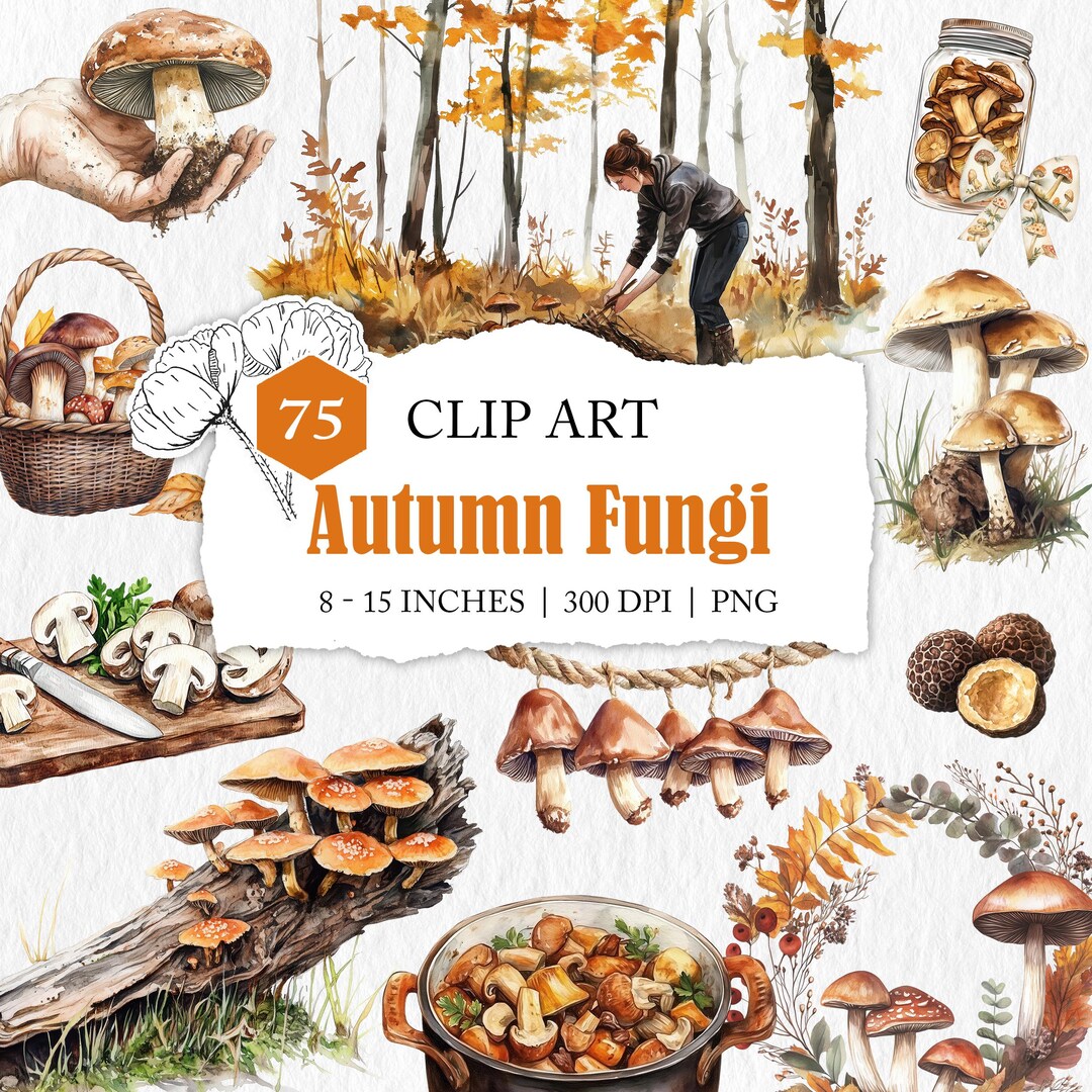 Forest Mushroom Clip Art, PNG File, Mushroom Clipart, Watercolour ...