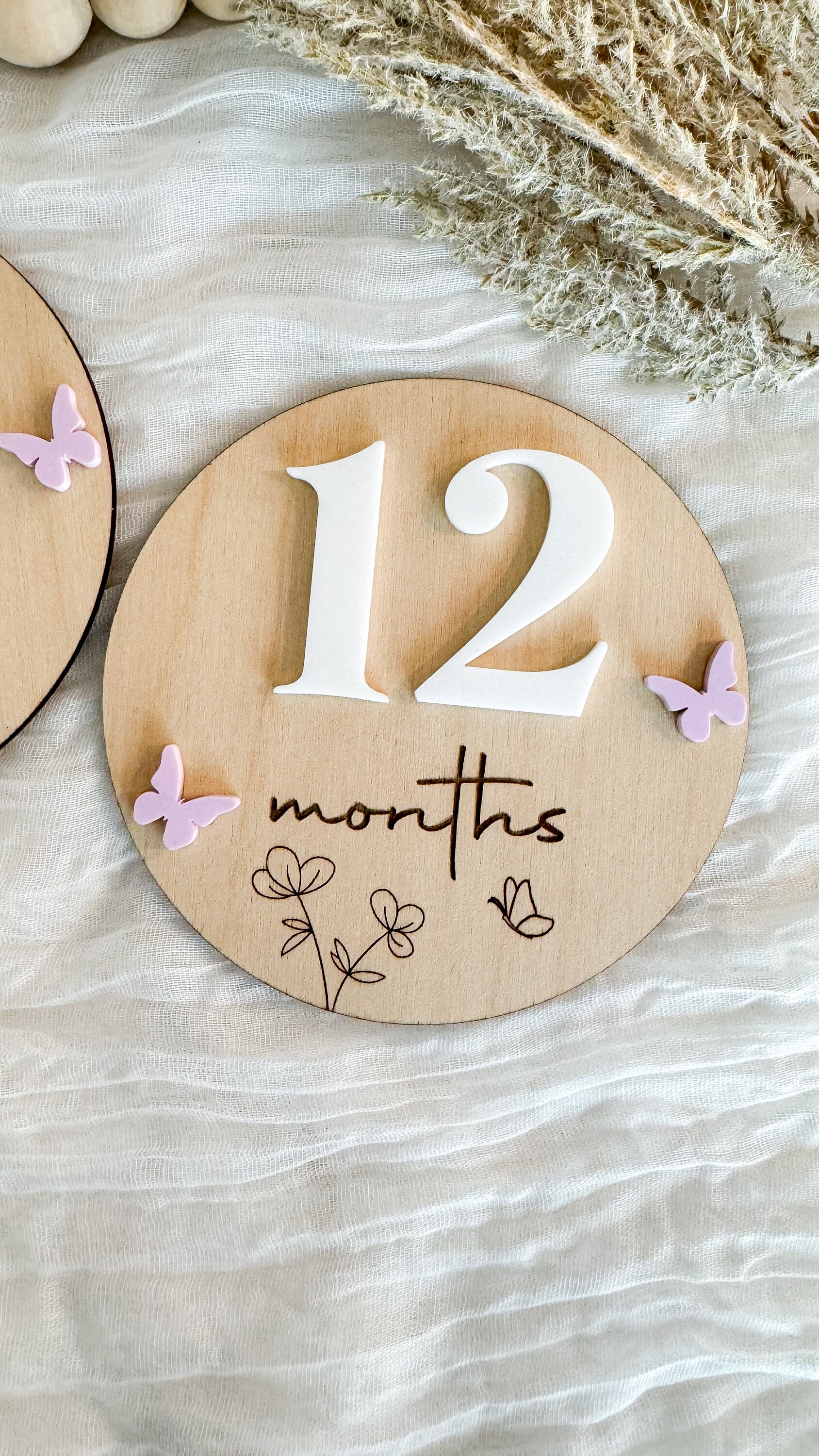 Butterfly Milestone Set, Baby Milestone Set, Monthly Milestone Set ...
