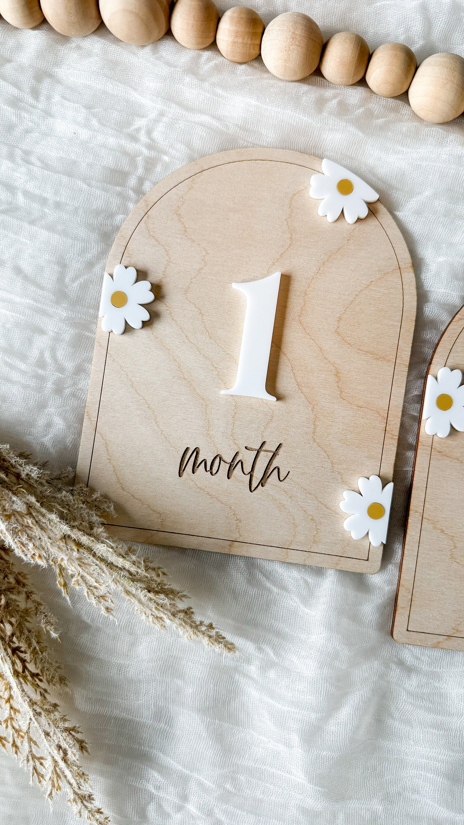 Flower Milestone Set, Baby Milestone Set, Monthly Milestone Set ...