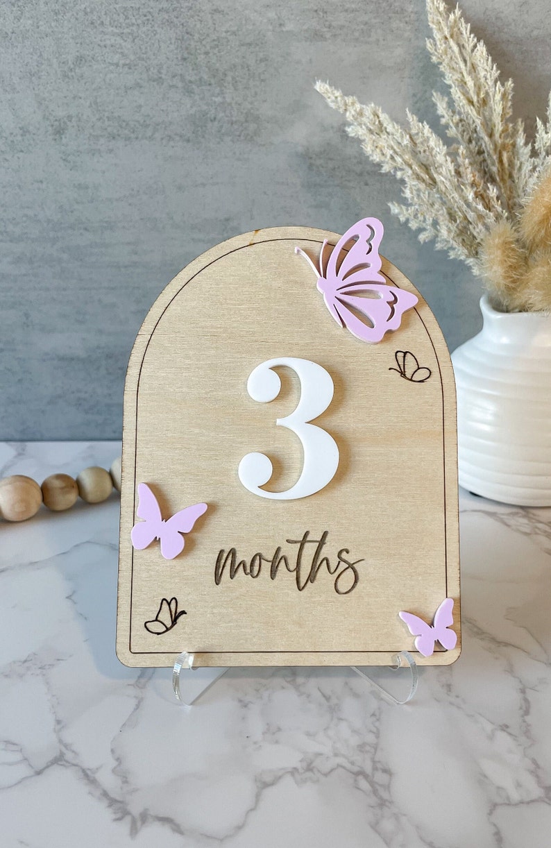 Butterfly Milestone Set, Baby Milestone Set, Monthly Milestone Set ...