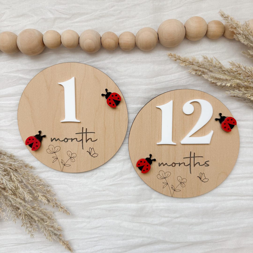Ladybug Milestone Set, Baby Milestone Set, Monthly Milestone Set ...