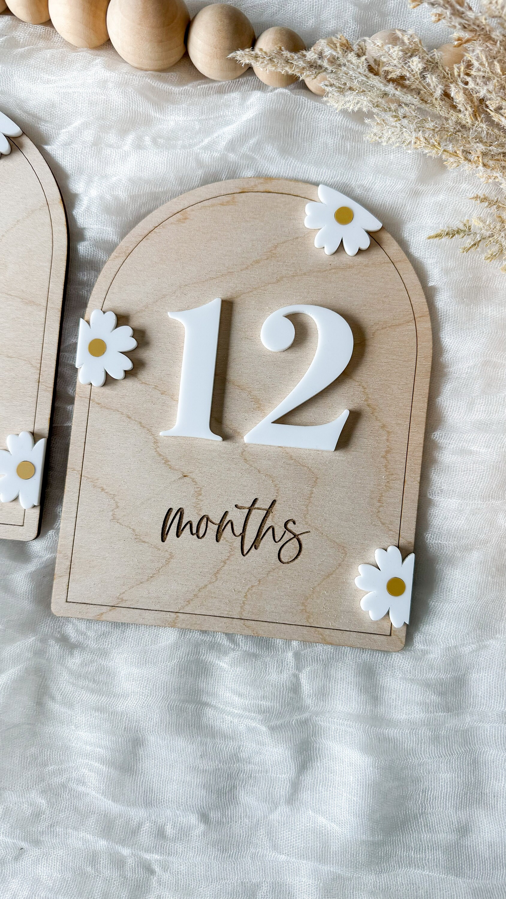 Flower Milestone Set, Baby Milestone Set, Monthly Milestone Set ...