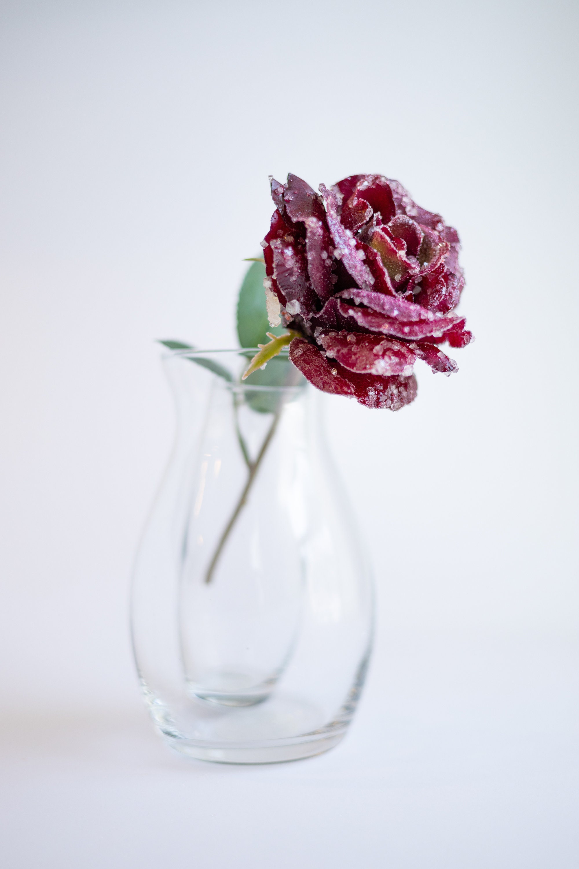 Individual Crystallized Flower:made to Order - Etsy