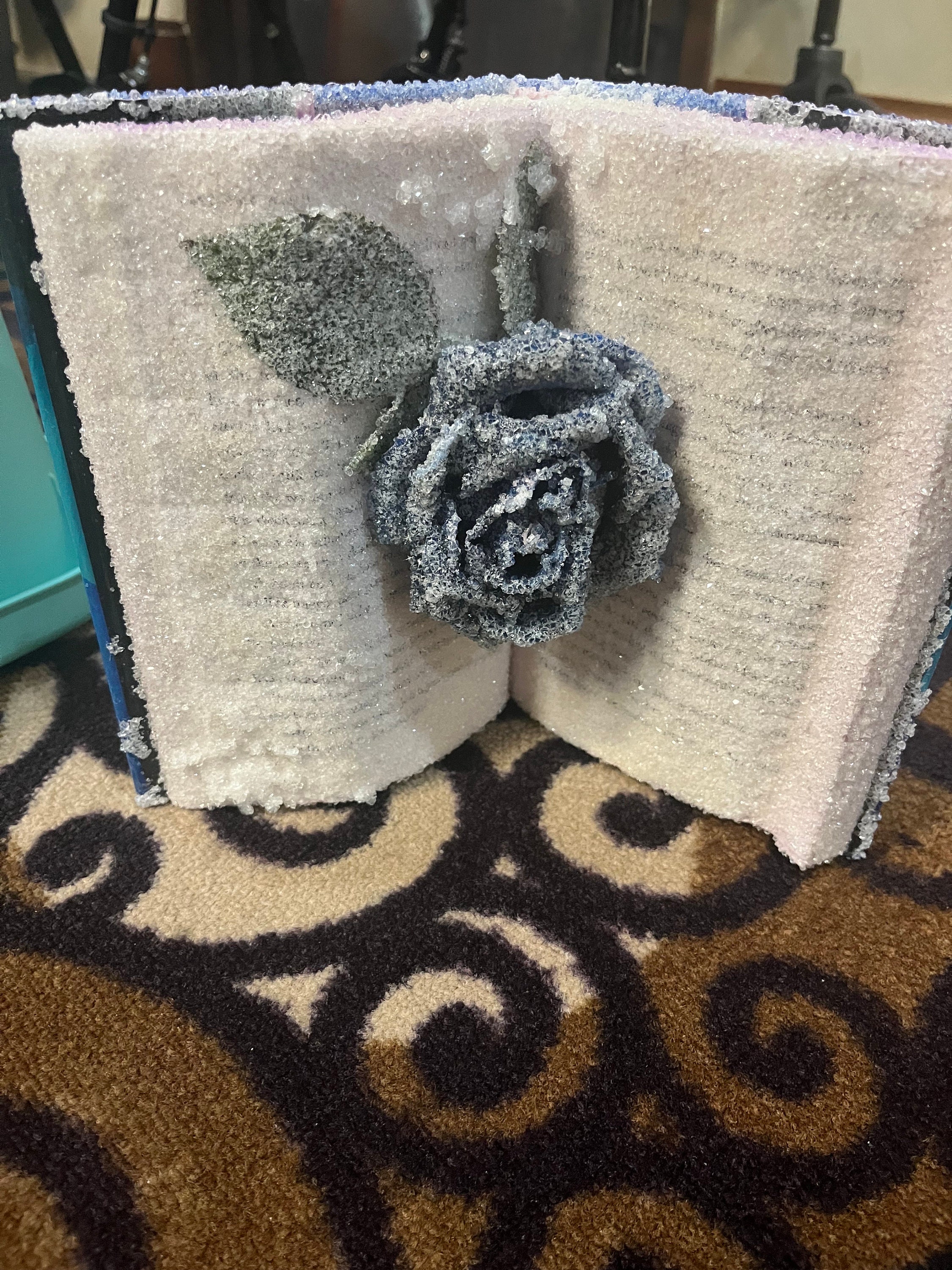 Crystallized Book: Into the Wind - Etsy