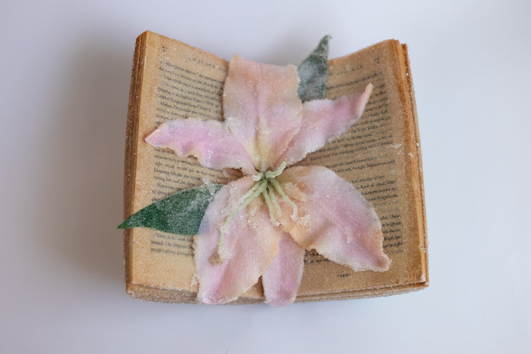 Crystallized Books Made to Order - Etsy UK