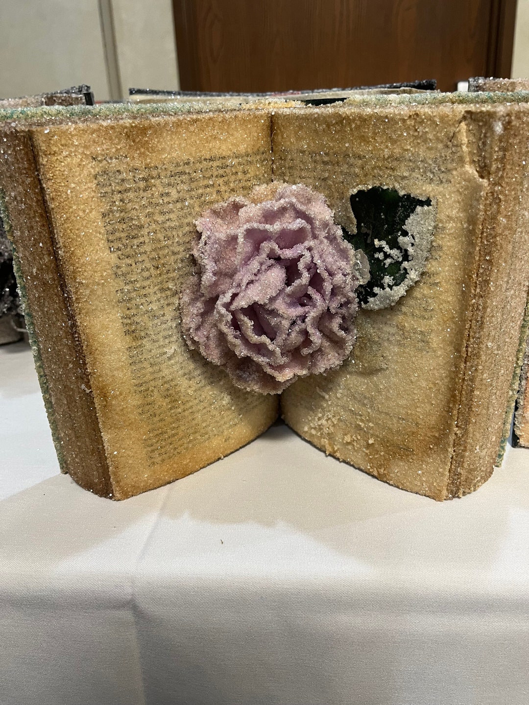 Crystallized Book: Readers Edition - Etsy