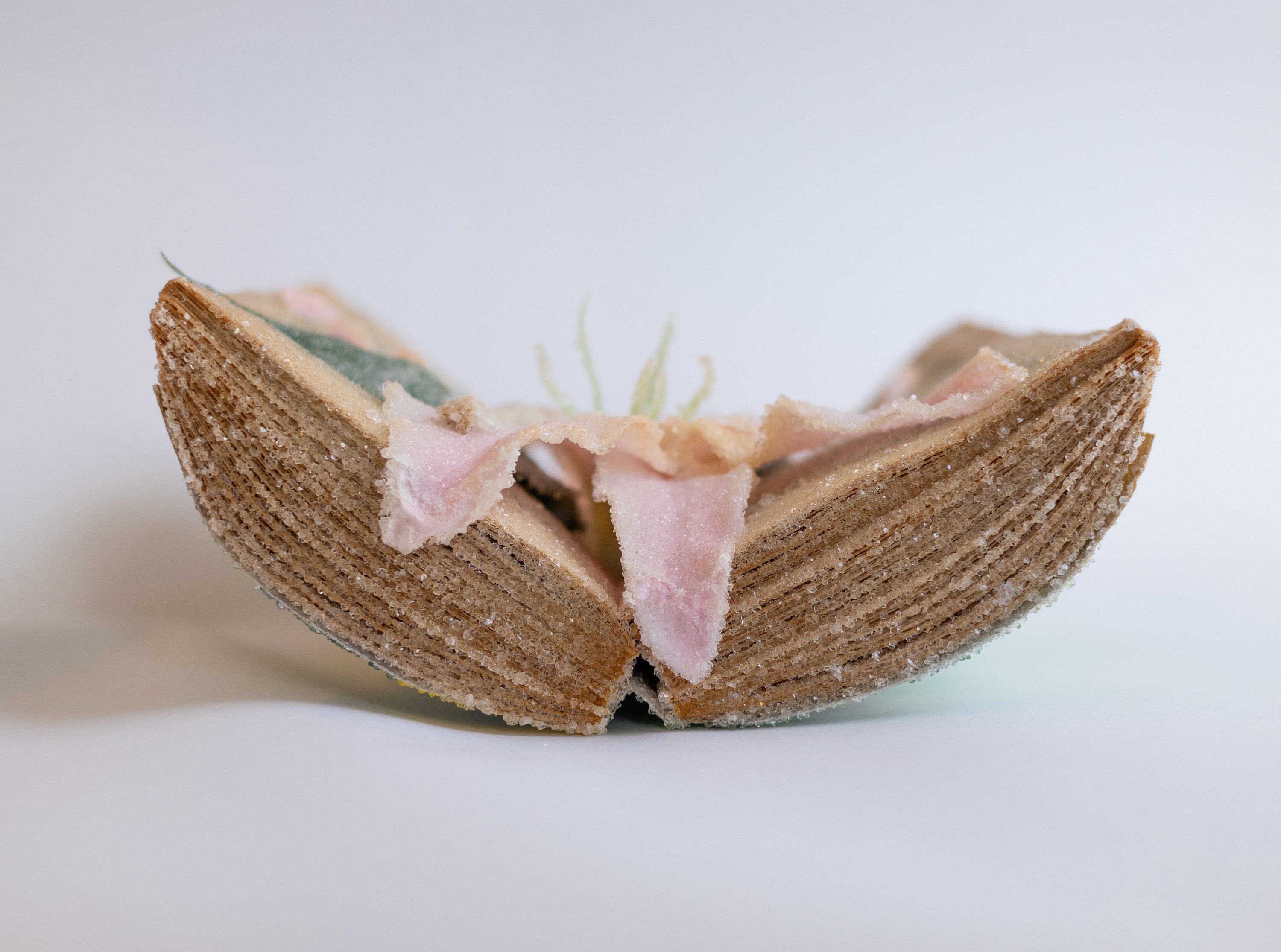 Crystallized Books Made to Order - Etsy UK