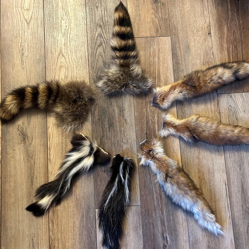 Skunk Tail - Etsy