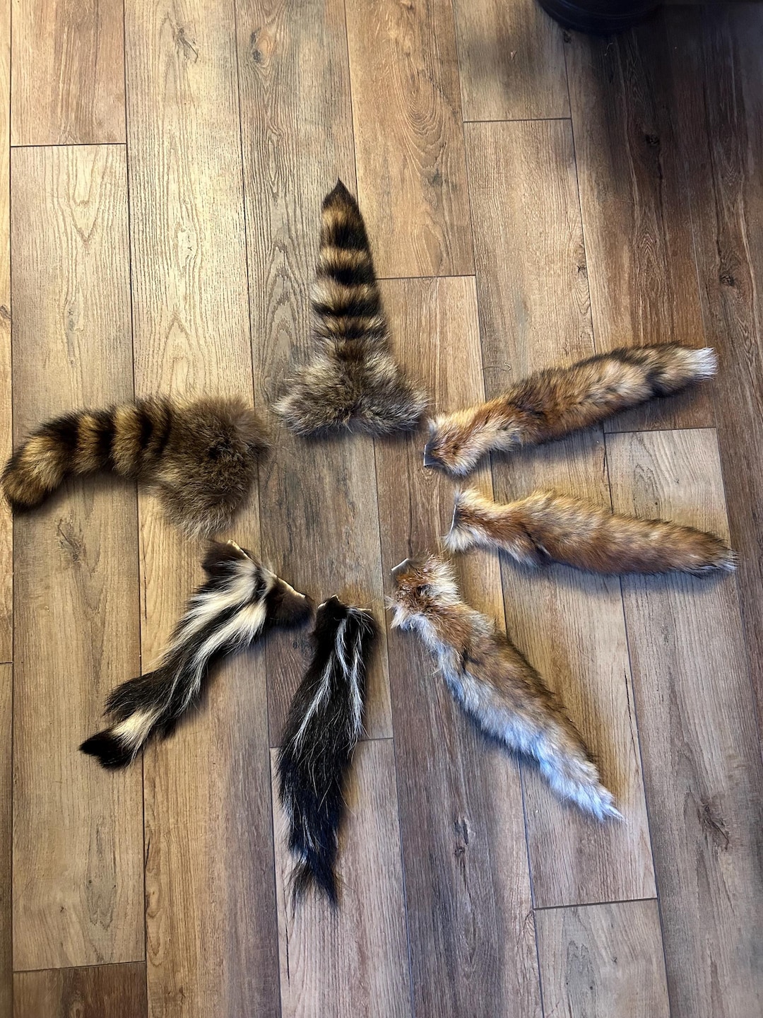 Authentic Tanned Fox Tails, Raccoon Tails, Skunk Tails - Etsy