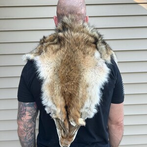 Coyote Fur Pelt Cloak - Viking, Medieval Accessory - Etsy