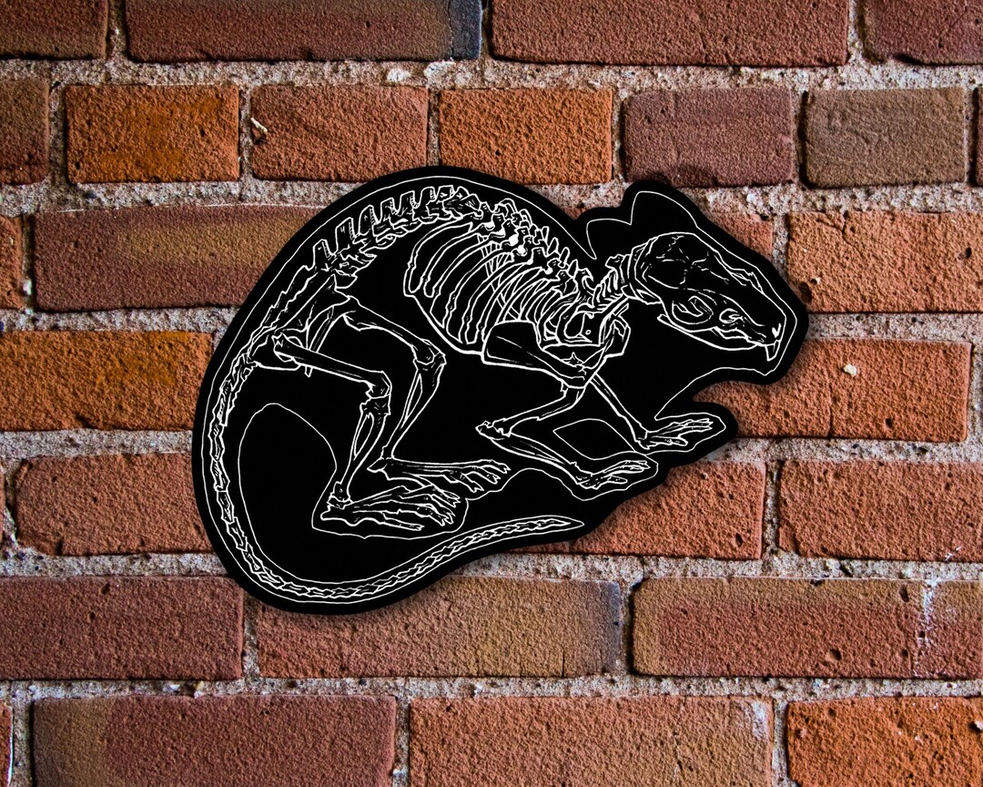 Rat Skeleton Sticker | Anatomical Illustration Vinyl Decal for Laptop ...
