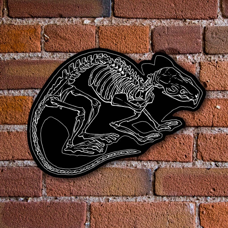 Rat Stickers - Etsy