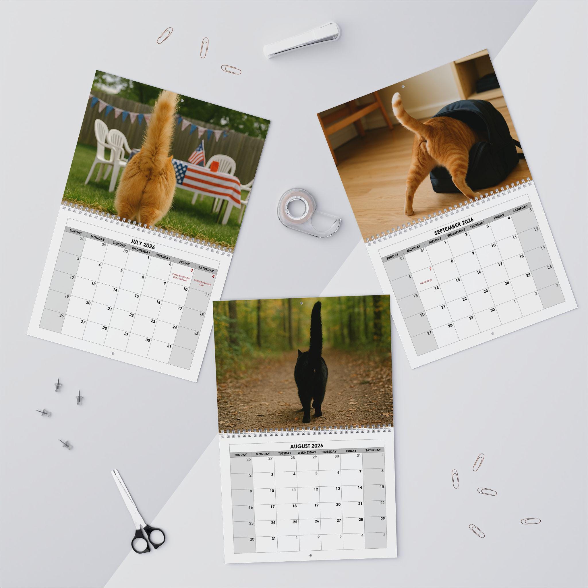 Cat Kitty Butts Calendar 2026, Funny Weird Gifts White Elephant Secret ...