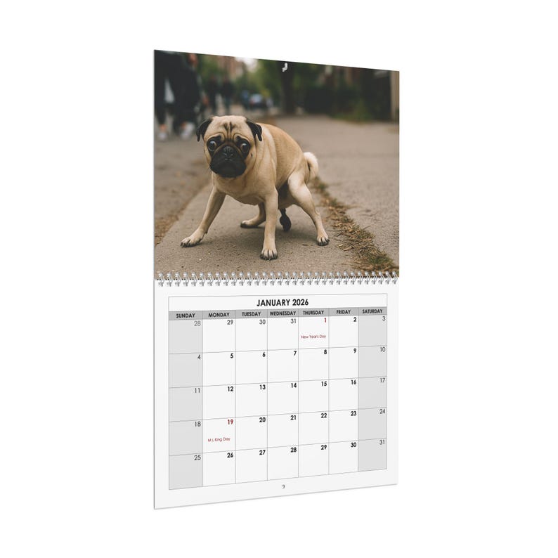 2026 Dog Wall Calendar, Funny Pooping Dogs Gifts for Him Dad Mom Her ...
